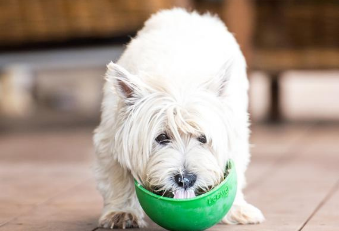 LickiMat – WONDERPETS